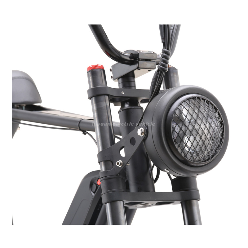 Electric Vintage Bike EH 02 from China manufacturer - Luyuan e-vehicle